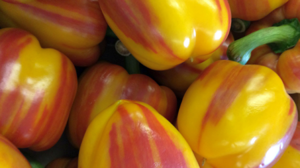 Inn Churches – Practical support for those that need it most